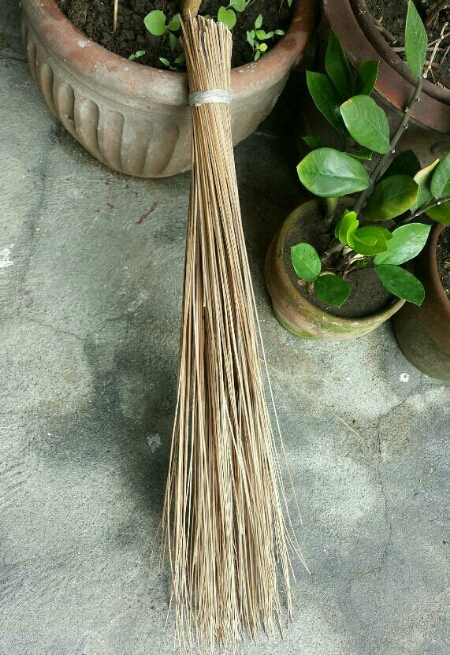 Filipino Broom
